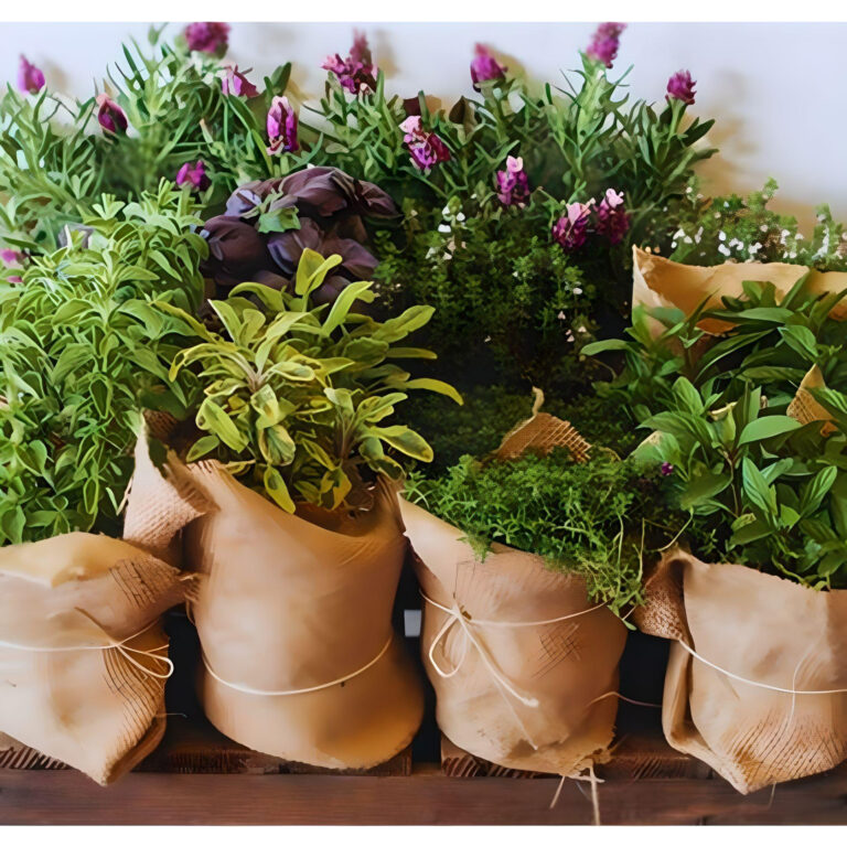 10 PLANTAS DE LA HUERTA ENVUELTAS EN FIBRA NATURAL - DecorGreen Chile ...
