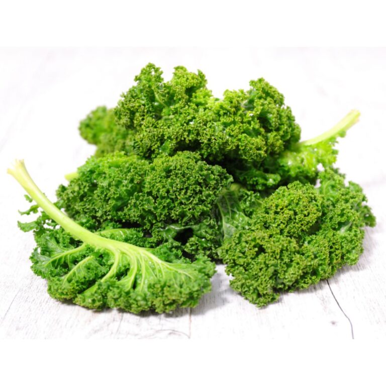 PLANTA KALE SUPERALIMENTO - DecorGreen Chile Tienda - Outlet de ...