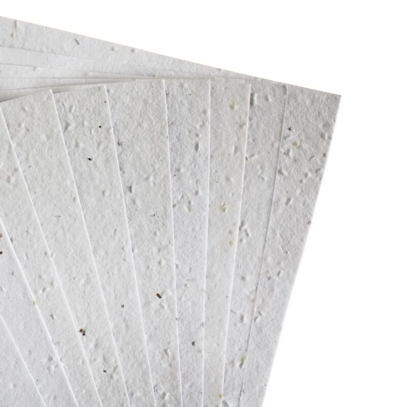 RESMA DE 10 HOJAS DE PAPEL SEMILLA "IMPRIME LO QUE QUIERAS ...