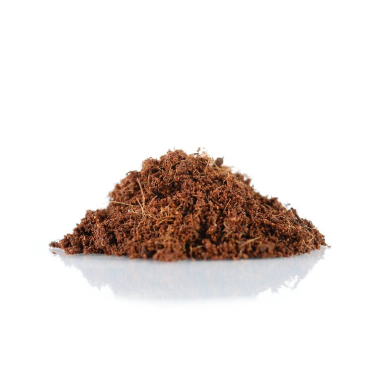FIBRA DE COCO HIDRATADA 3 LITROS - DecorGreen Chile Tienda - Outlet de ...