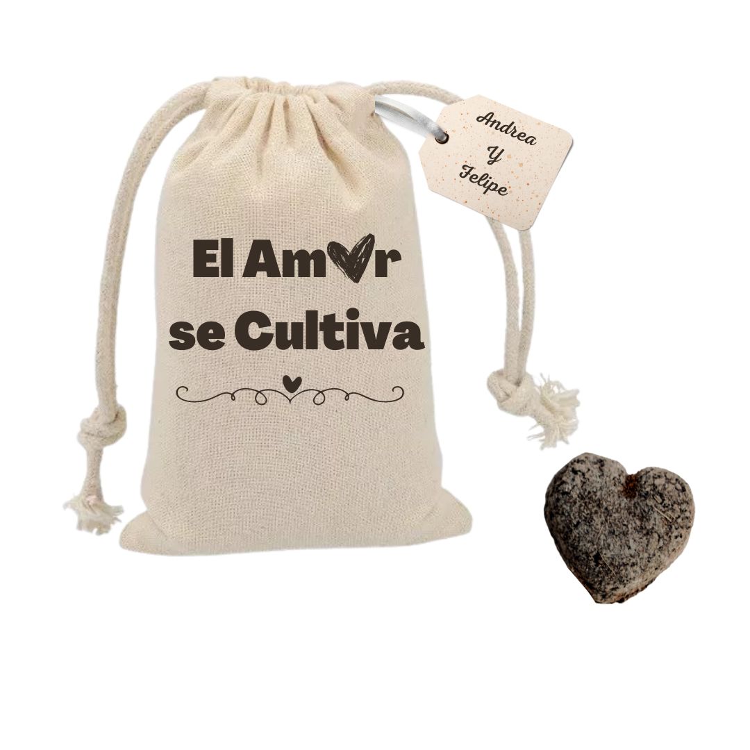 Qué es una Bomba de Semilla - DecorGreen Chile