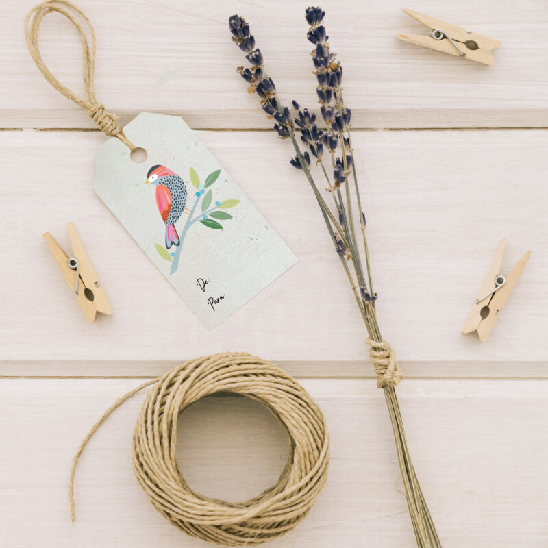 10 TARJETAS PLANTABLES DE REGALO "FLORECE" - DecorGreen Chile Tienda ...